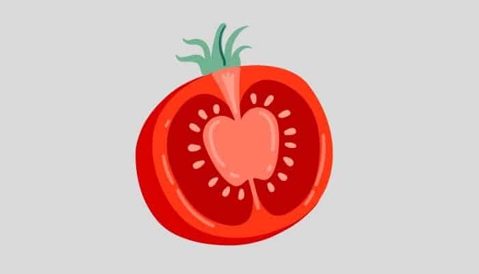 Why Tomatoes Catface? 6 Ways to Stop It - The Scientific Gardener