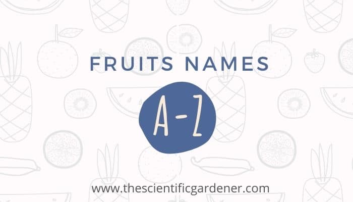 Fruit Names A - Z (Most Comprehensive List) - The Scientific Gardener