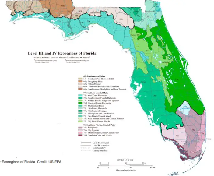 Florida Plant Hardiness Zones Climate Soil Conditions The