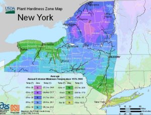 New York: Plant Hardiness Zones, Climate & Soil Conditions - The ...