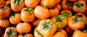 15 Best Fruit Trees to Grow in Texas [Detailed Guide]