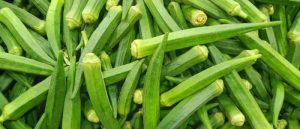 15 Best Vegetables to Grow in Alabama (Detailed Guide)