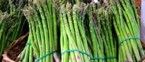15 Best Vegetables to Grow in South Carolina (Detailed Guide)