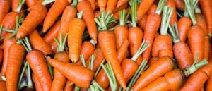 15 Best Vegetables to Grow in Alabama (Detailed Guide)