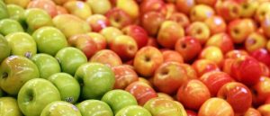 10 Best Fruit Trees to Grow in Idaho - The Scientific Gardener