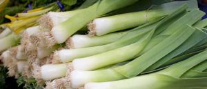 Best Vegetables to Grow in Utah (Detailed Guide)